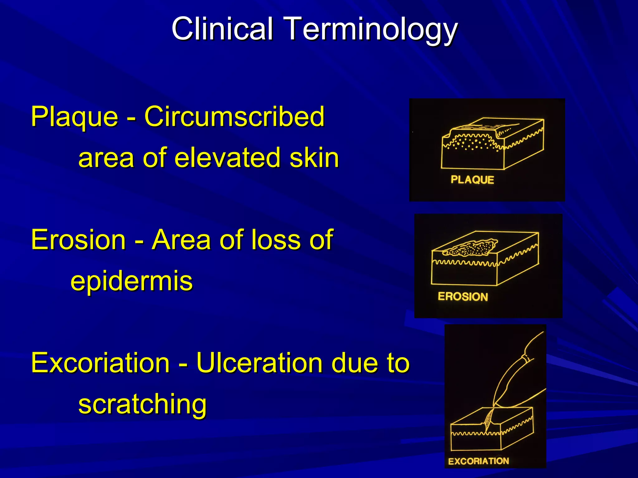 2.terminology used in dermatology rp | PPT
