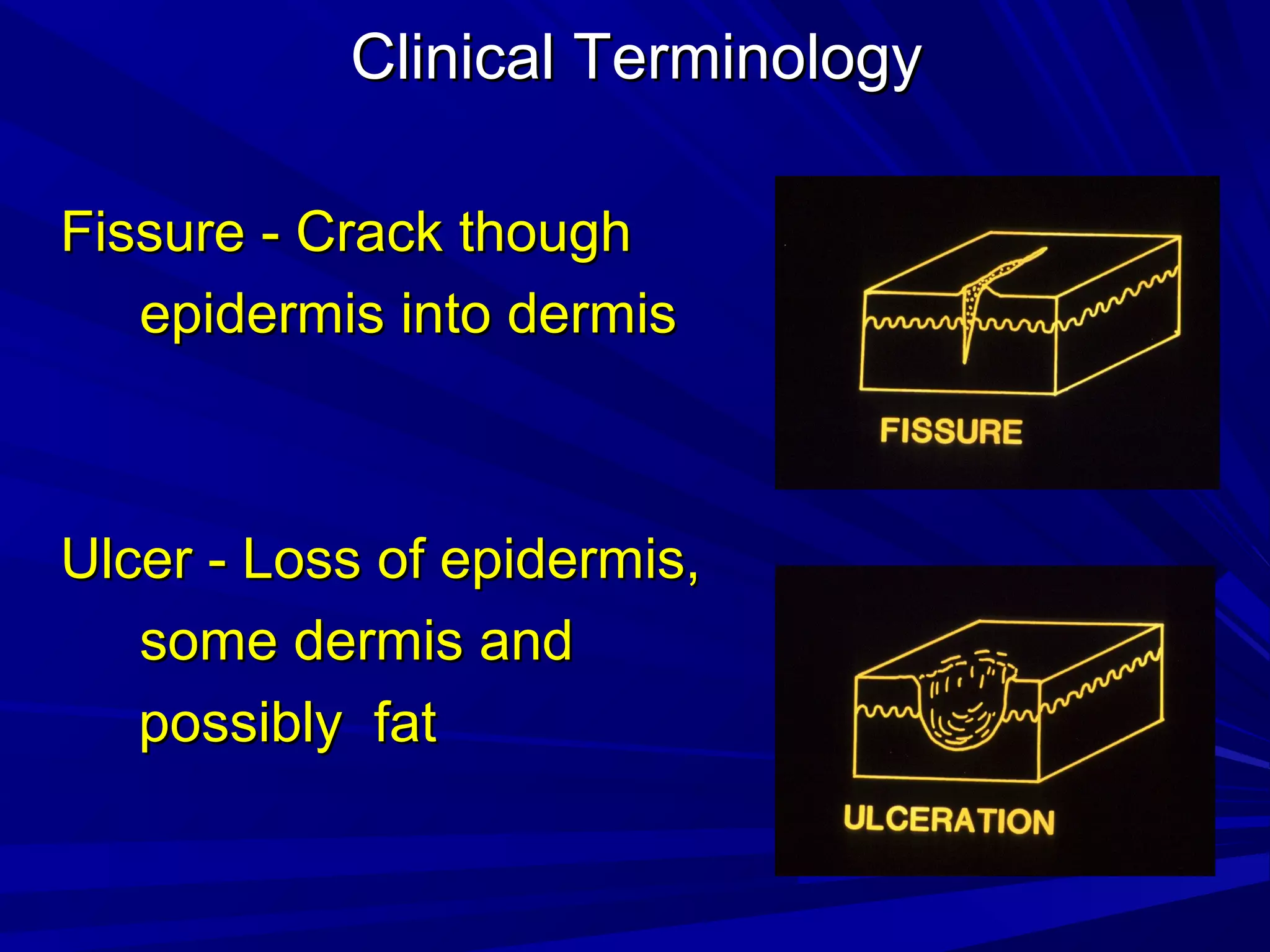2.terminology used in dermatology rp | PPT