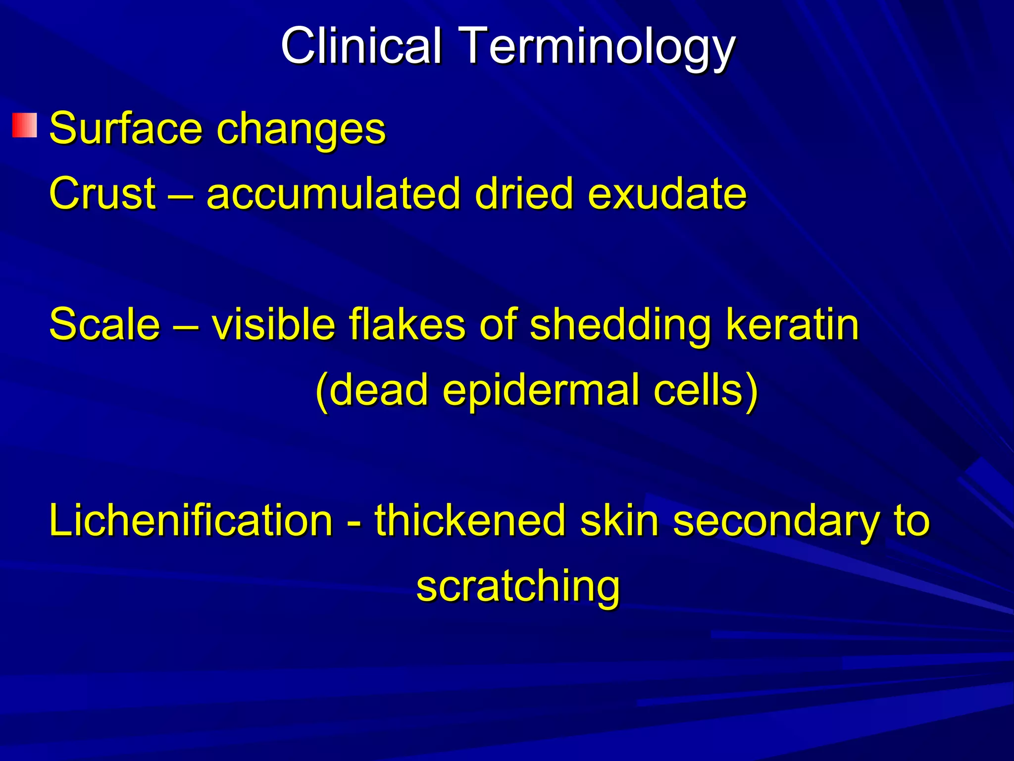 2.terminology used in dermatology rp | PPT