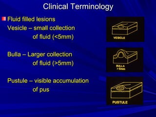 2.terminology used in dermatology rp | PPT