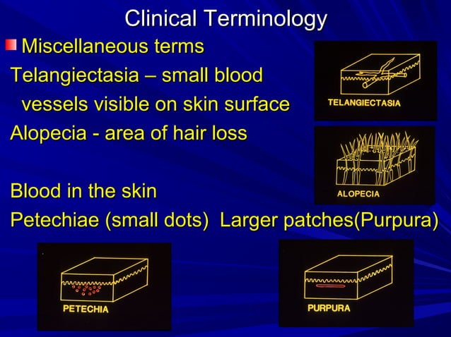 2.terminology used in dermatology rp | PPT
