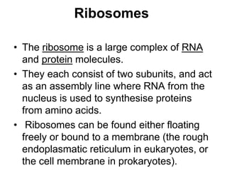 the animal cell, parts and functions for students consumption | PPT
