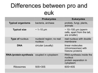 the animal cell, parts and functions for students consumption | PPT