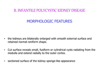 THE KIDNEY - CONGENITAL MALFORMATIONS | PPTX