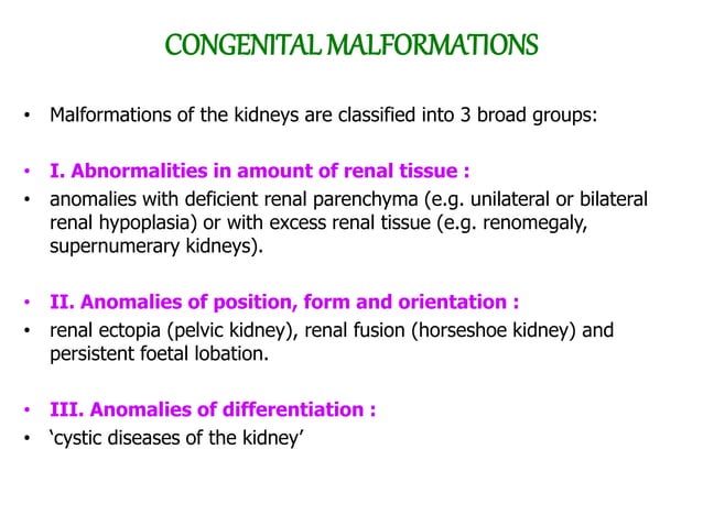 THE KIDNEY - CONGENITAL MALFORMATIONS | PPTX | Blood Disorders ...