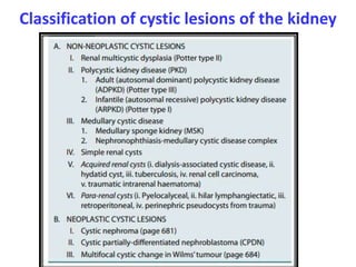 THE KIDNEY - CONGENITAL MALFORMATIONS | PPTX