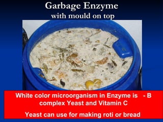 2. The processing of Garbage Enzyme | PPT