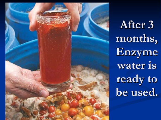 2. The processing of Garbage Enzyme | PPT | Chemistry | Science