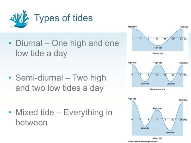 Tides in the Pacific - Tide Calendars and how to read them | PPT