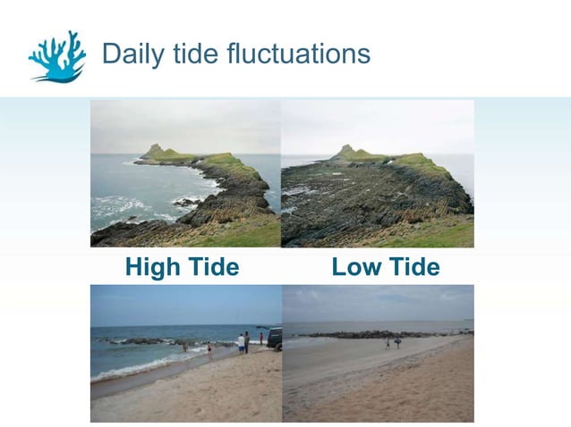 Tides in the Pacific - Tide Calendars and how to read them | PPT
