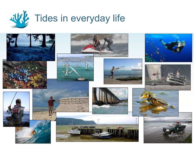 Tides in the Pacific - Tide Calendars and how to read them | PPT