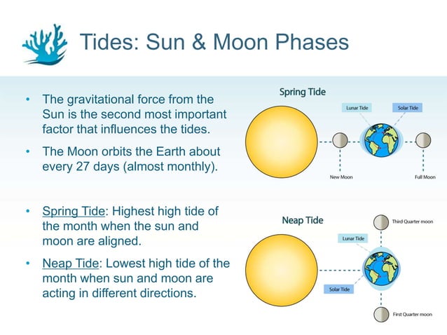 Tides in the Pacific - Tide Calendars and how to read them | PPT