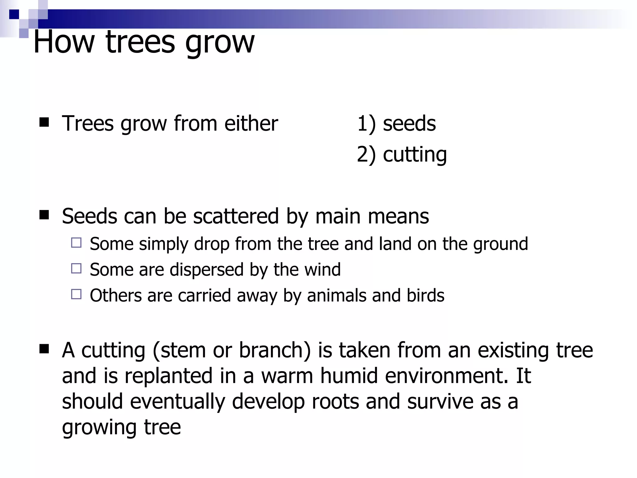 2. tree growth & structure | PPT