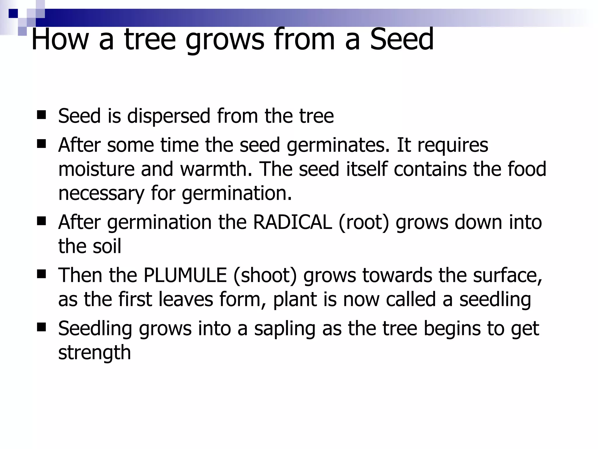 2. tree growth & structure | PPT