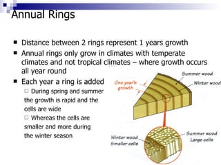 2. tree growth & structure | PPT
