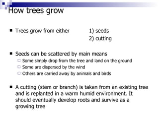 2. tree growth & structure | PPT