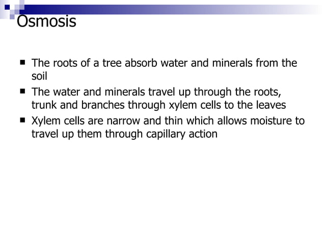 2. tree growth & structure | PPT