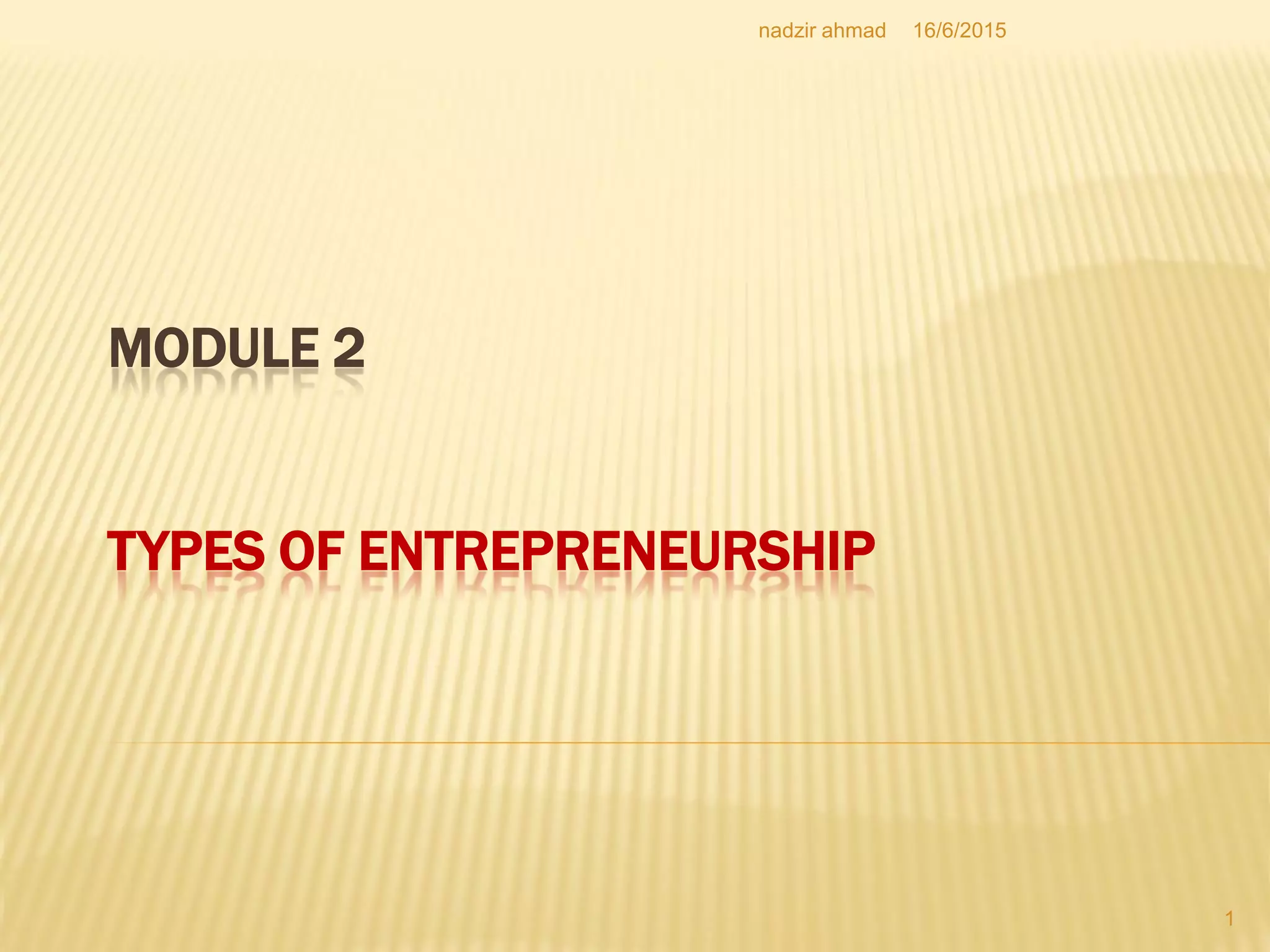 2 types of entrepreneurship | PDF