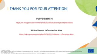 2 - Urban Green Infrastructure and conservation of pollinators in ...