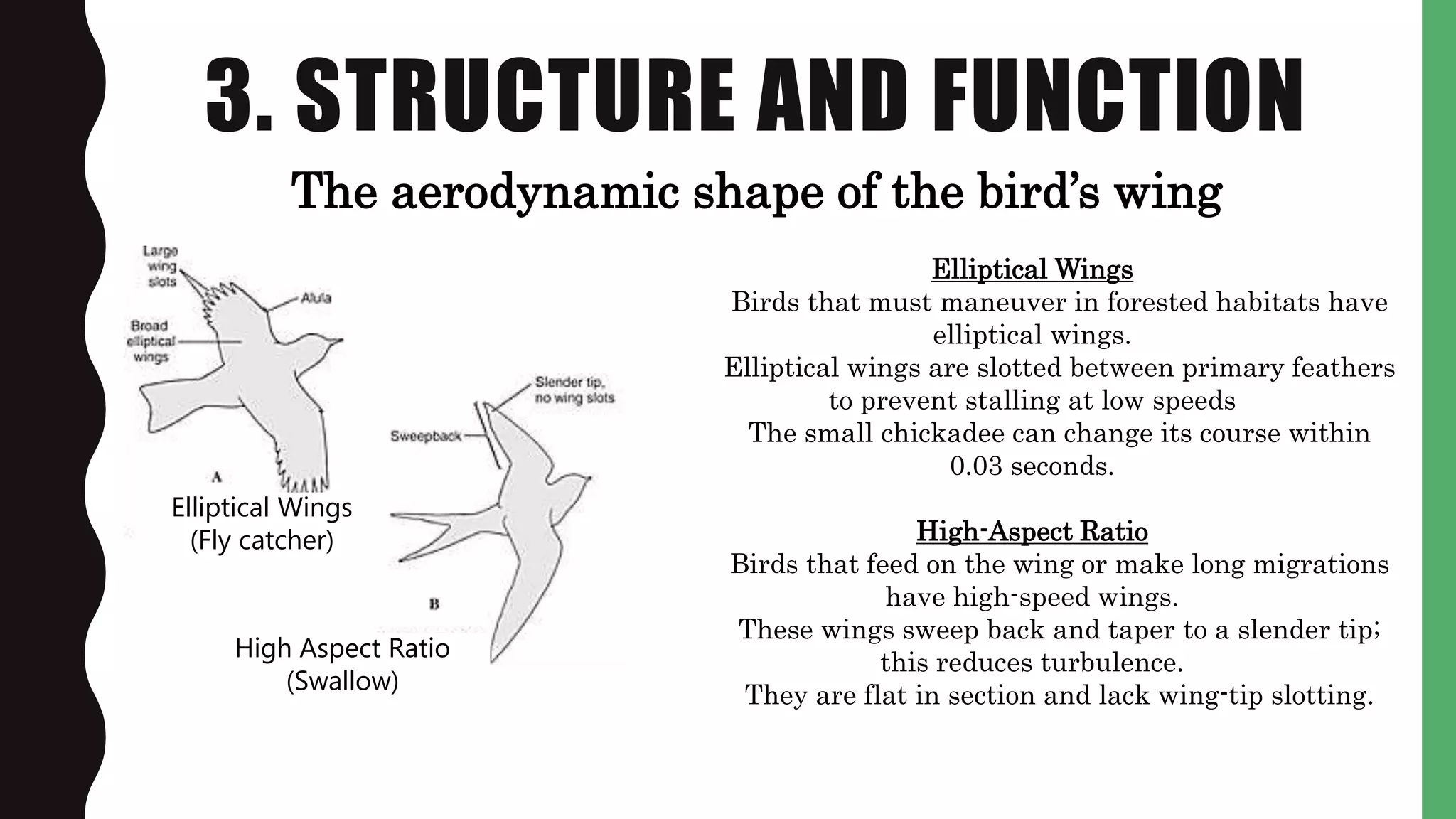 Unifying Themes of Life | PPTX
