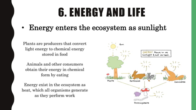 Unifying Themes of Life