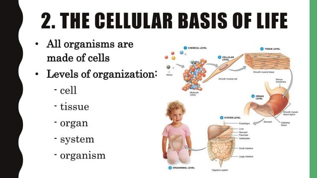 Unifying Themes of Life