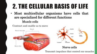 Unifying Themes of Life | PPT