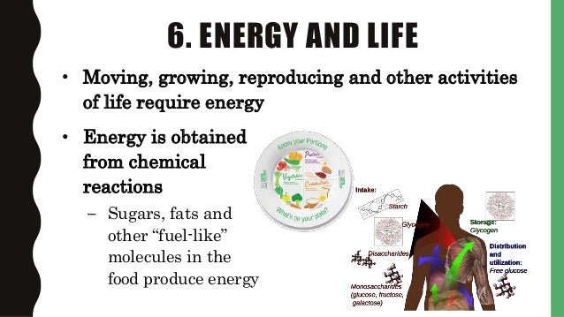 Unifying Themes of Life