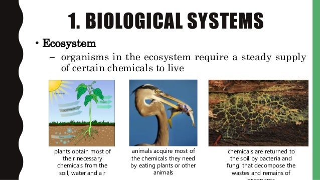 Unifying Themes of Life