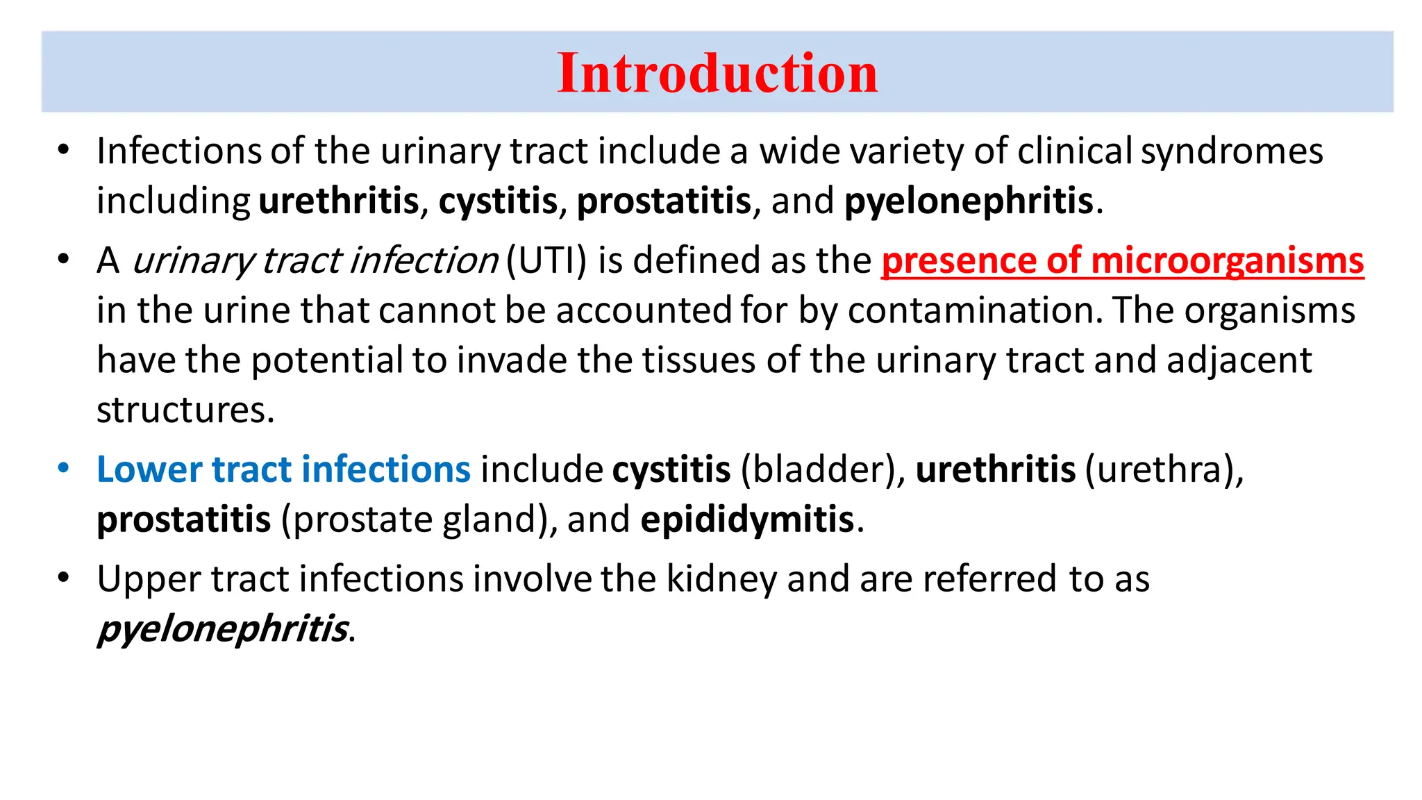 2-UTIs-CU.pdf. urinary tract infaction introduction | PDF