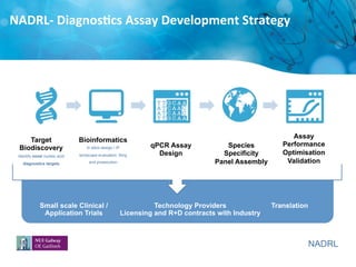 qPCR Diagnostics Assay Development for Infectious Disease Working with ...