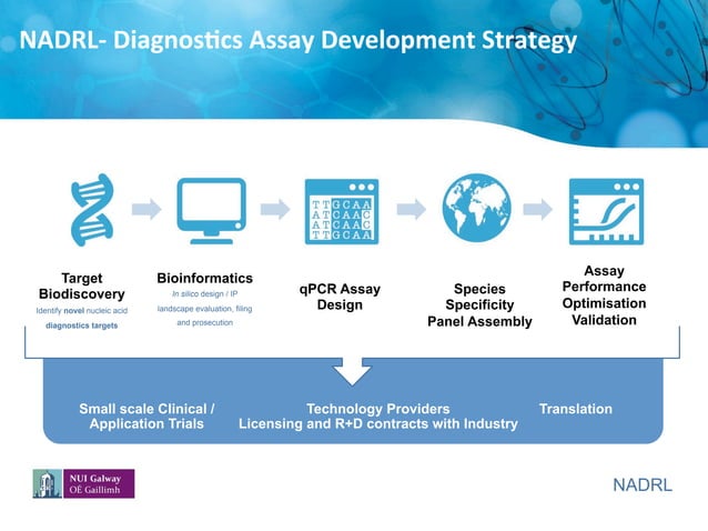 Qpcr Diagnostics Assay Development For Infectious Disease Working With