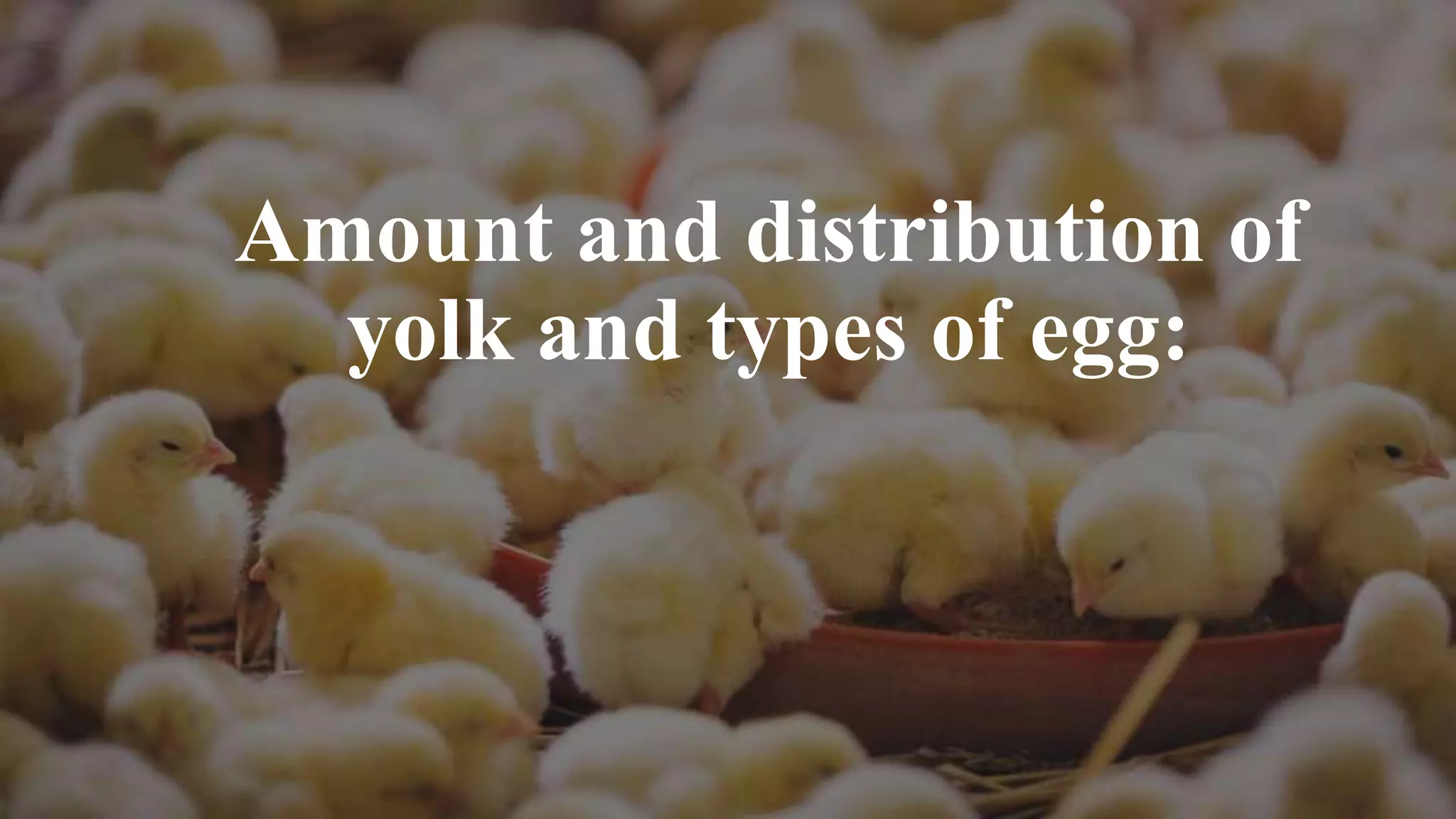 Amount and distribution of yolk and types of egg | PPTX