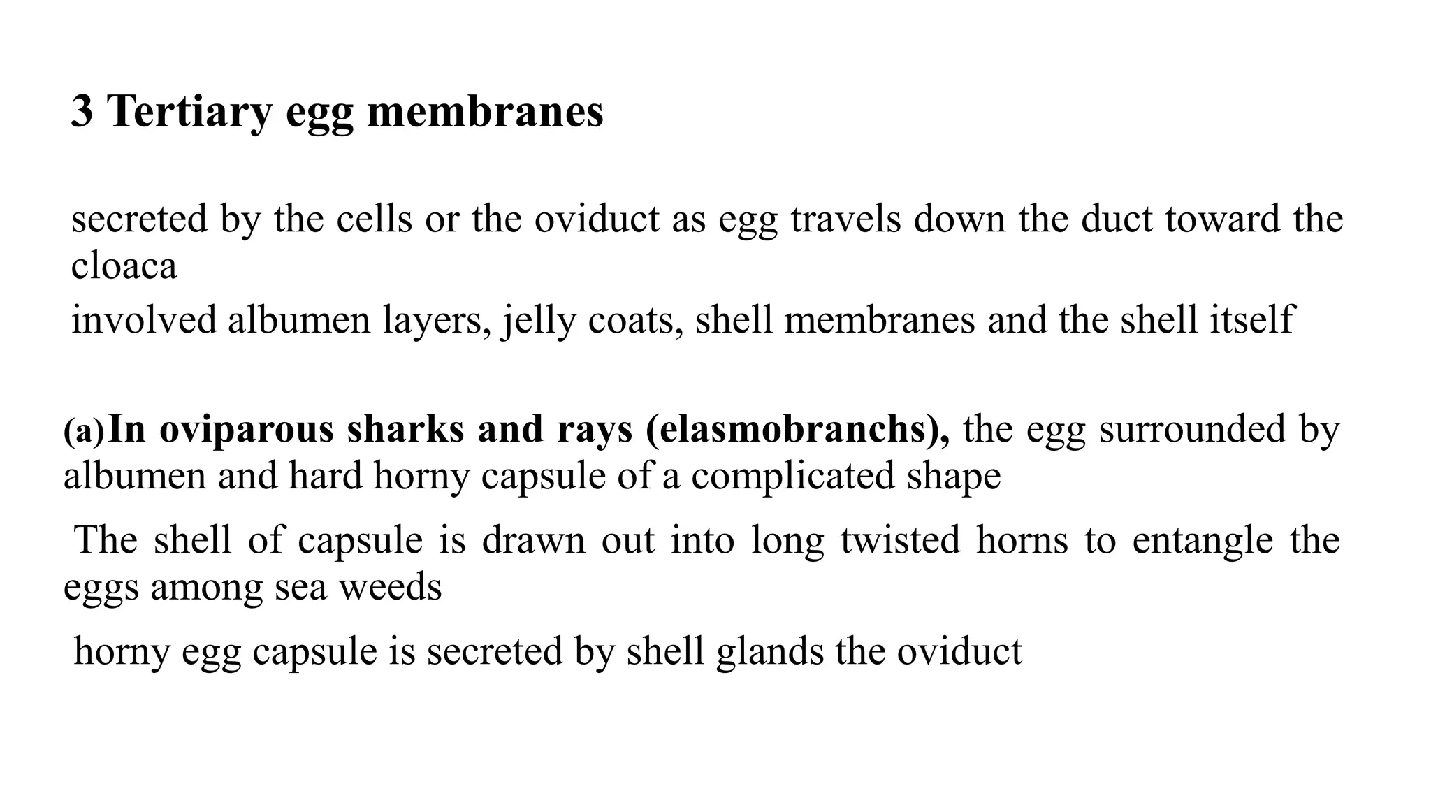 Amount and distribution of yolk and types of egg | PPTX