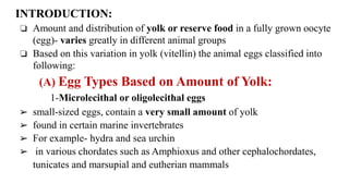 Amount and distribution of yolk and types of egg | PPTX