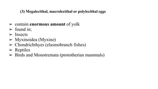 Amount and distribution of yolk and types of egg | PPTX