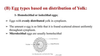 Amount and distribution of yolk and types of egg | PPTX