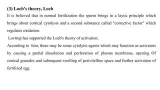 theories related to activation of egg | PPTX