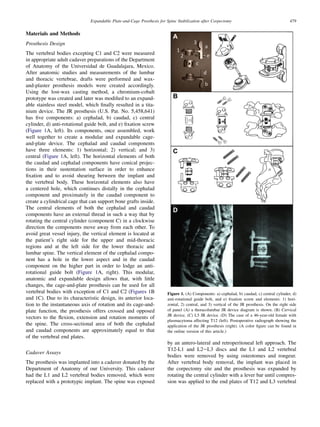 An Expandable Prosthesis with Dual Cage-and-Plate Function in a Single ...