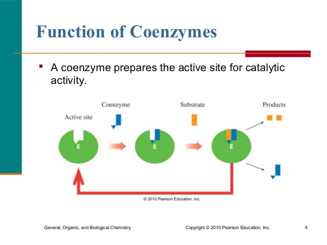 enzyme cofactors_and_vitamins
