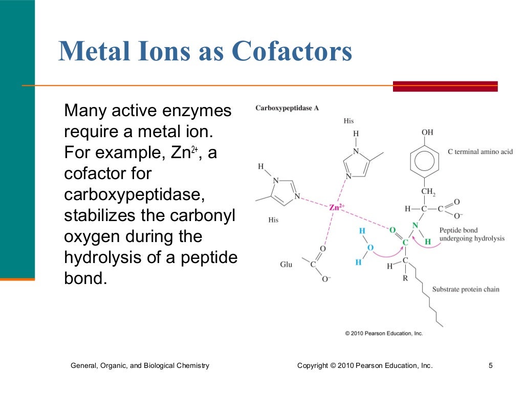 enzyme cofactors_and_vitamins