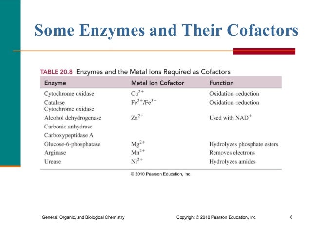 enzyme cofactors_and_vitamins