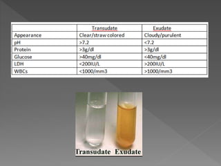 Thoracentesis Fluid