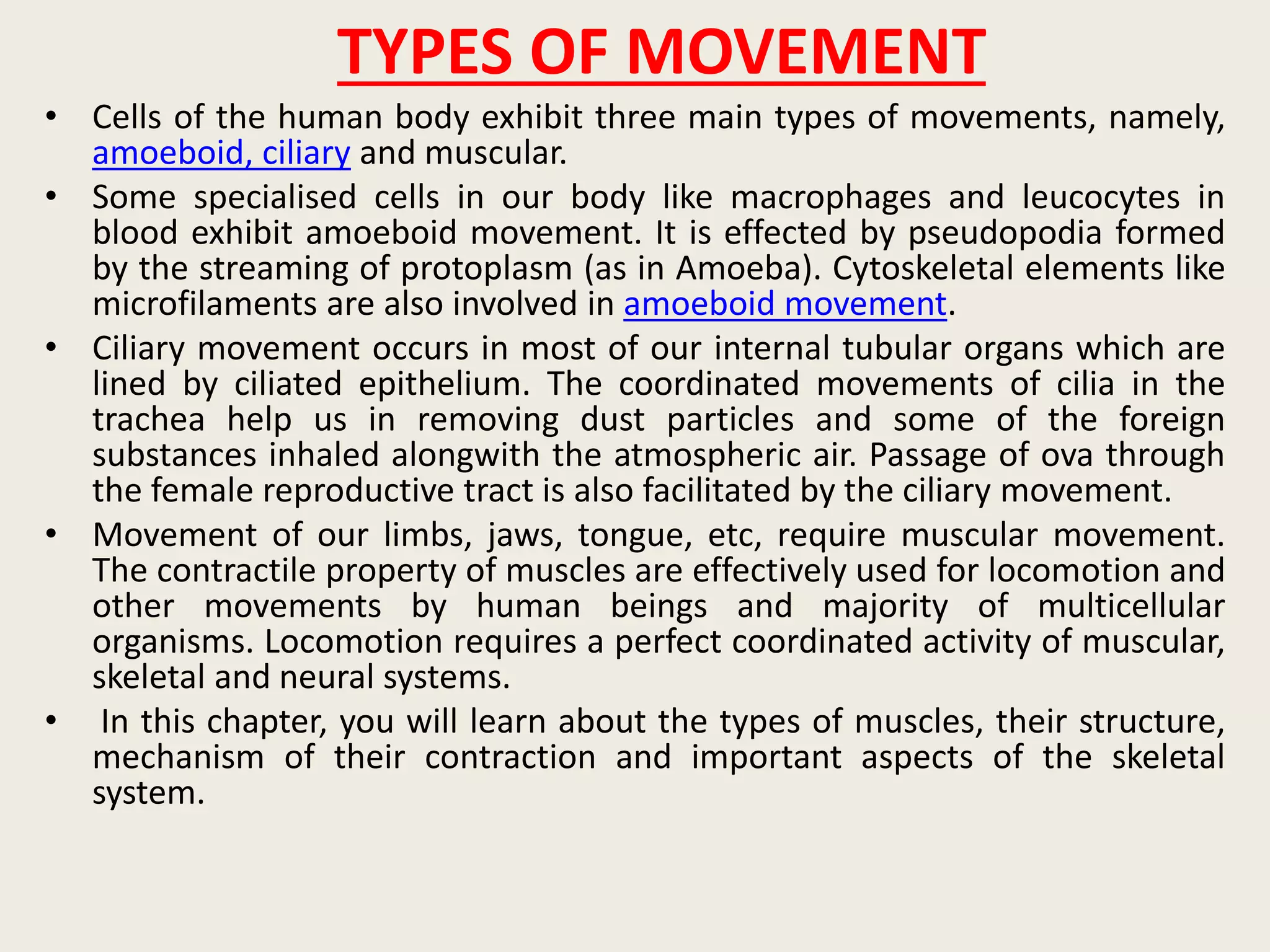 20.Locomotion and Movement | PPTX