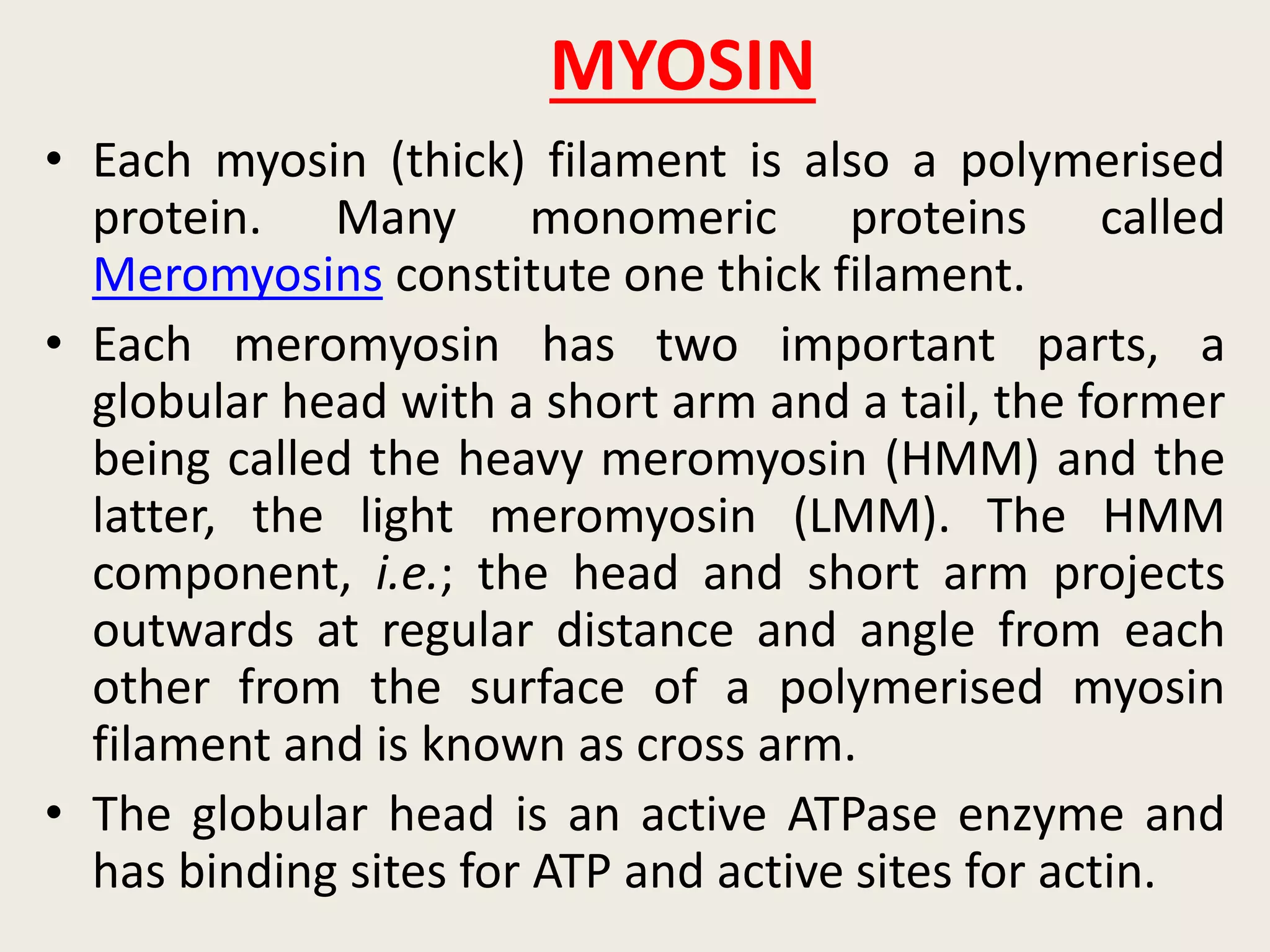 20.Locomotion and Movement | PPTX