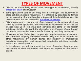 20.Locomotion and Movement | PPTX