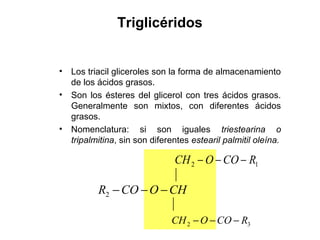20. lipidos | PPT