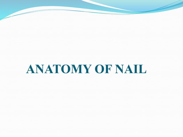 drug delivery through nails | PPT
