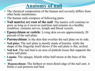 drug delivery through nails | PPT