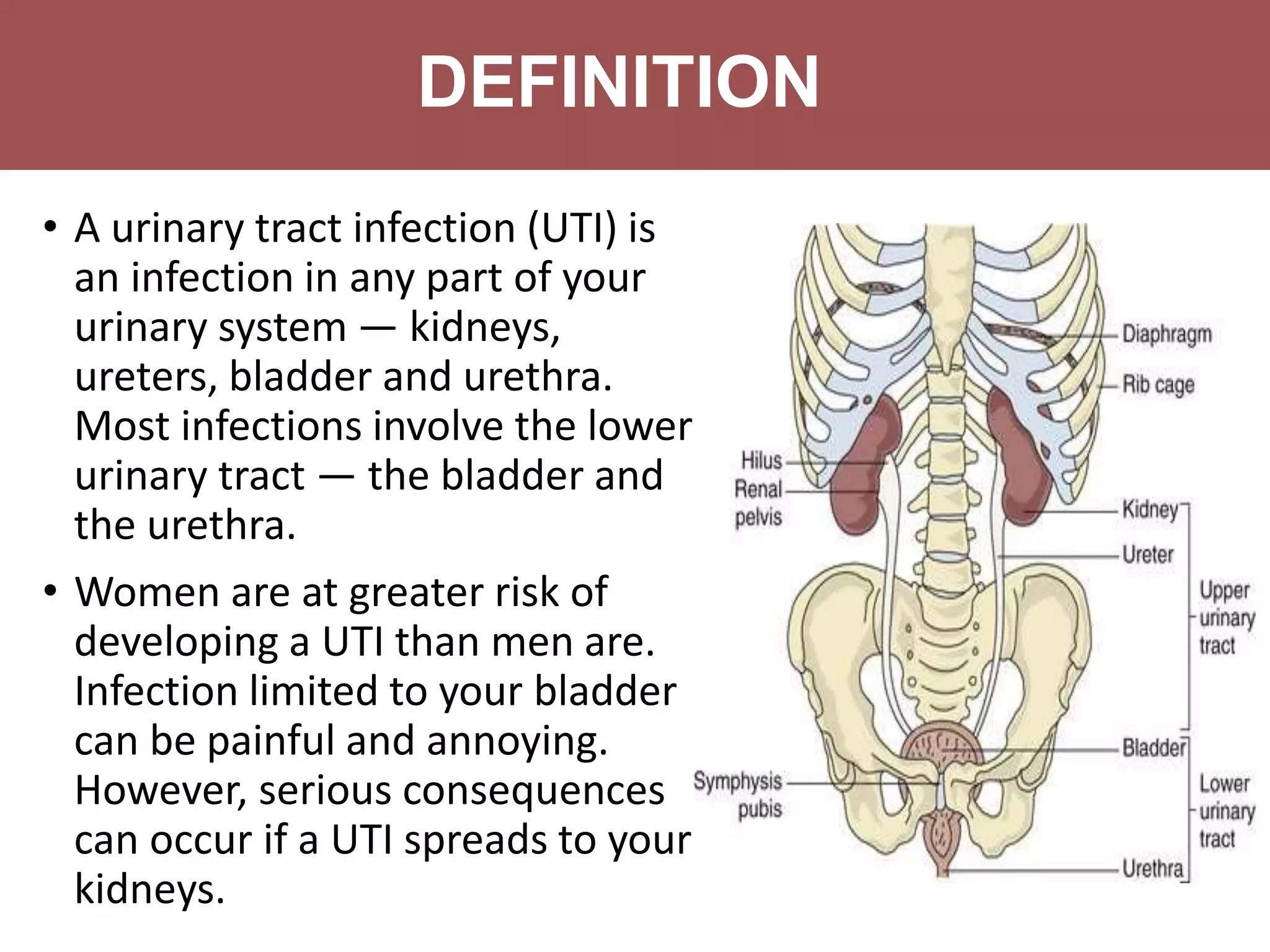 Urinary tract infections (UTI) & Renal vascular diseases | PPTX
